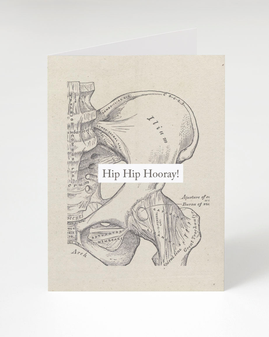Hip Hip Hooray Medical Graduation Card Hip Replacement Cognitive