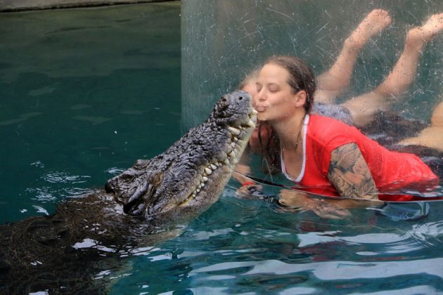 Cage Of Death Lets You Get Up Close With Crocodile In The Water Shouts