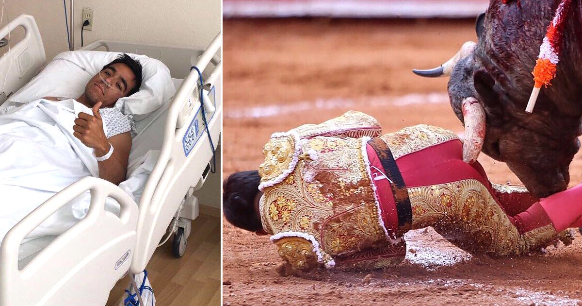 Matador Whose Anus Was Completely Destroyed By Bull Is Doing Okay