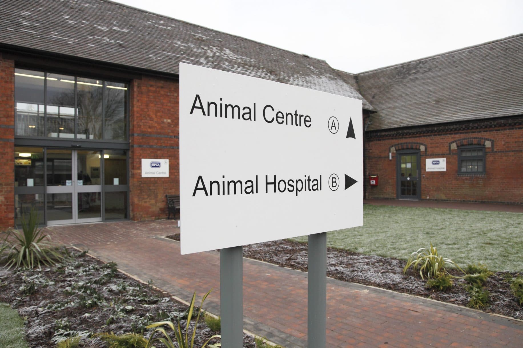 New Rspca Centre To Teach Importance Of Animal Welfare B31 Voices