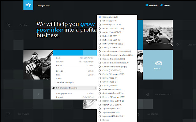 Set Character Encoding Chrome Web Store